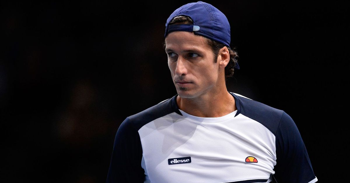 Feli's head for heights