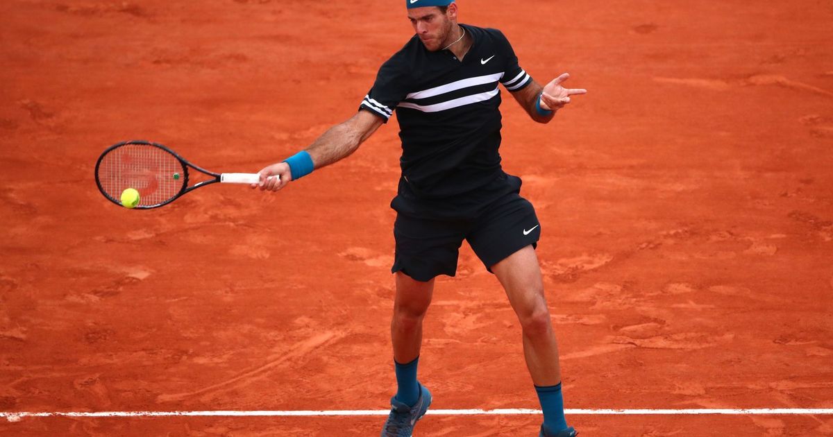Juan Martin del Potro v John Isner