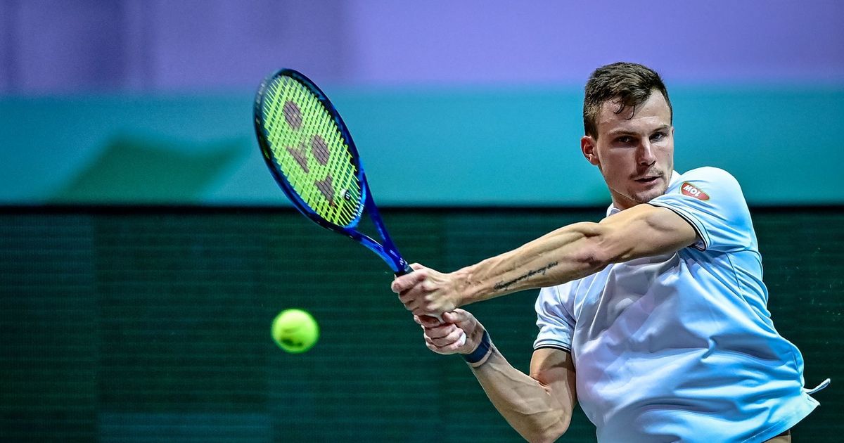 Marton Fucsovics v Andrey Rublev - Short Highlights