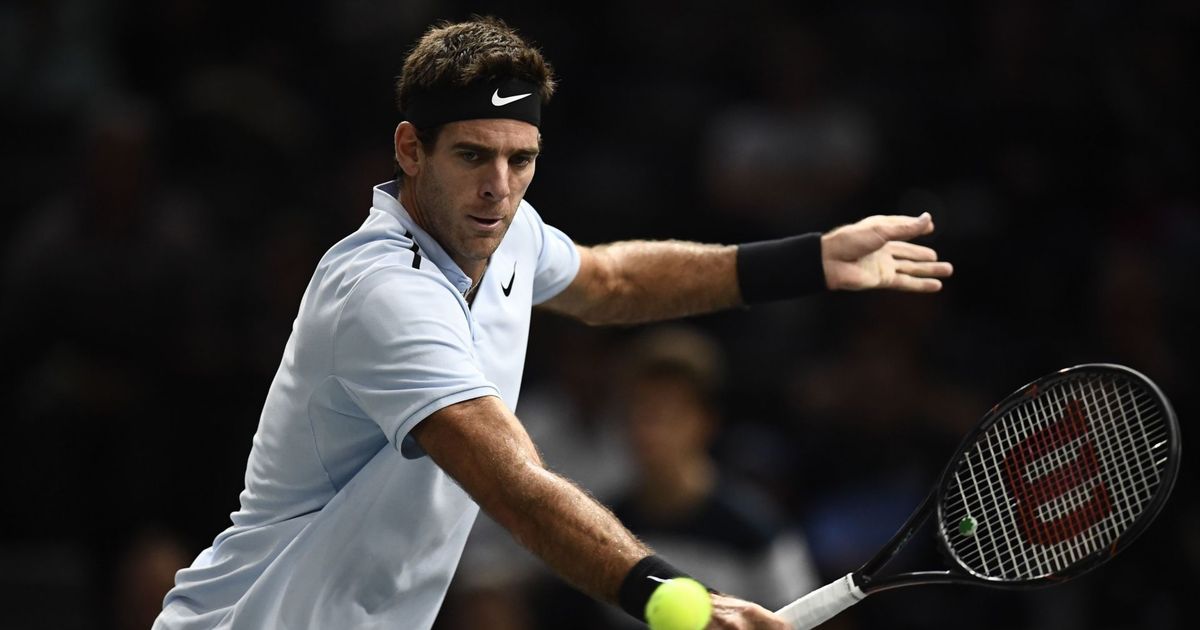 Juan Martin del Potro v John Isner