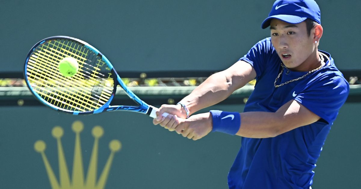 Shang returns smash with interest