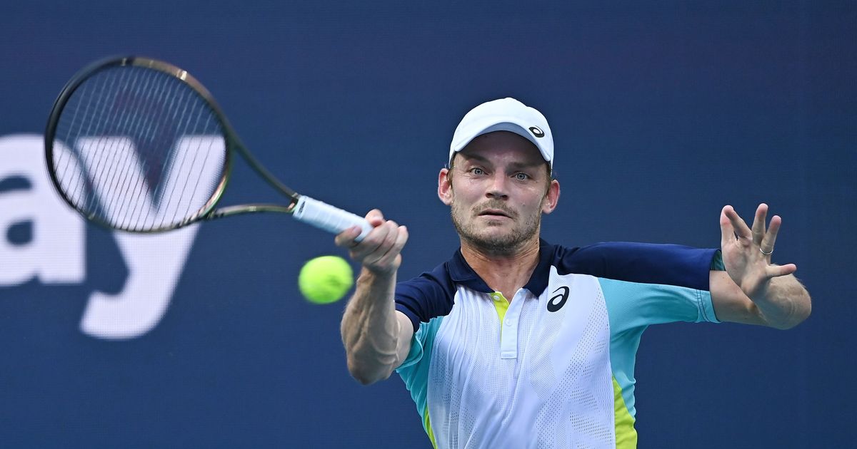 Gilles Simon v David Goffin Highlights