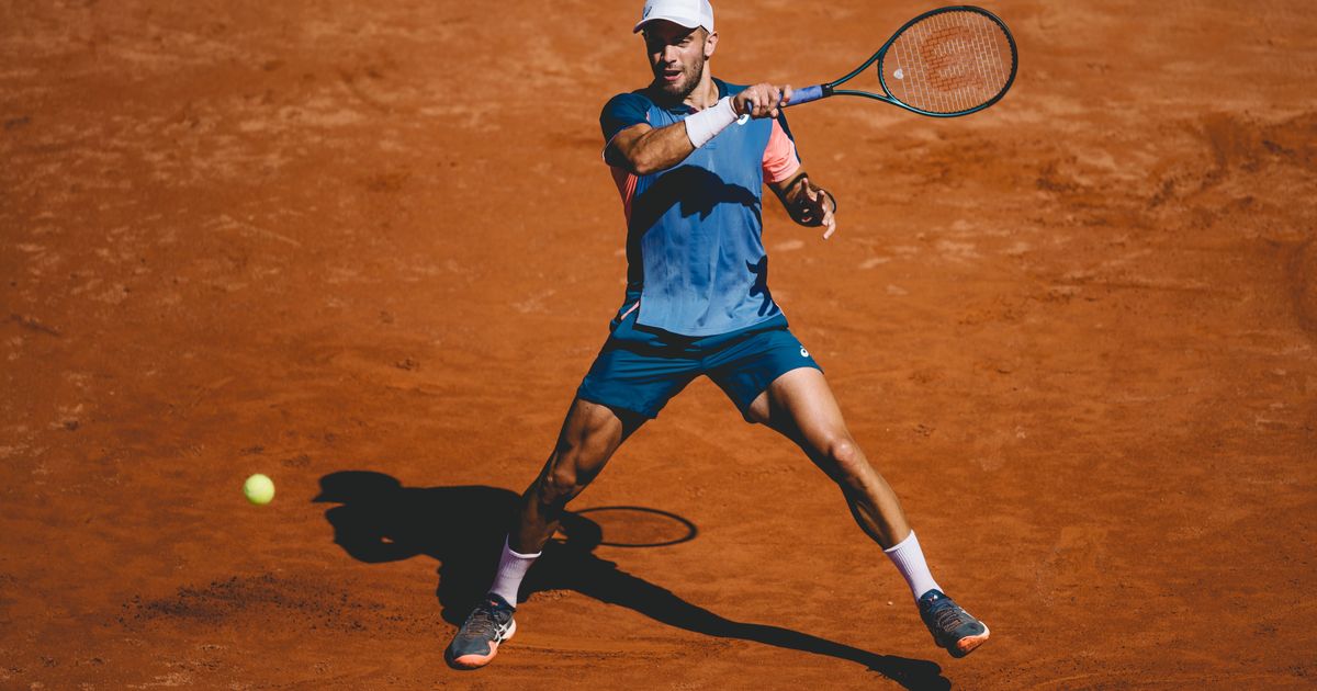 Alex Molcan vs Borna Coric Highlights