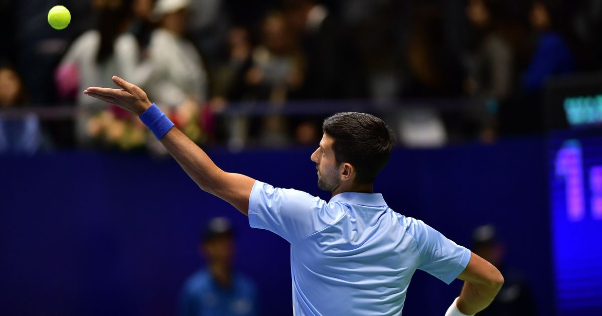 Novak Djokovic vs Cristian Garin Highlights
