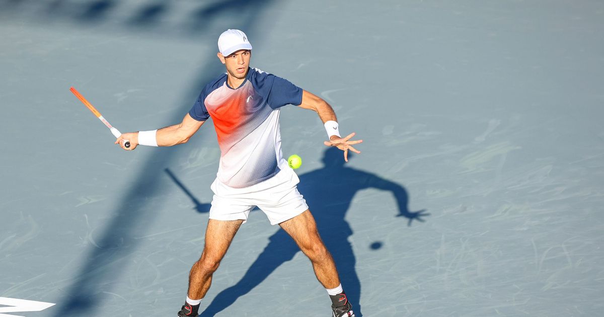 Steve Johnson vs Nuno Borges Highlights