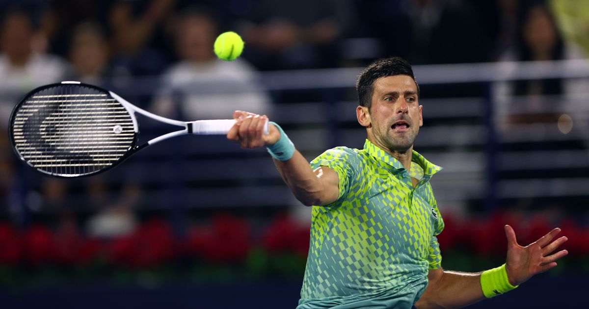 Novak Djokovic vs Daniil Medvedev Highlights