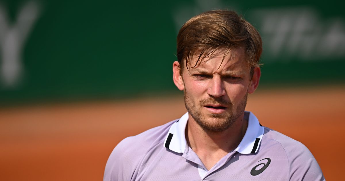 Diego Schwartzman vs David Goffin Highlights