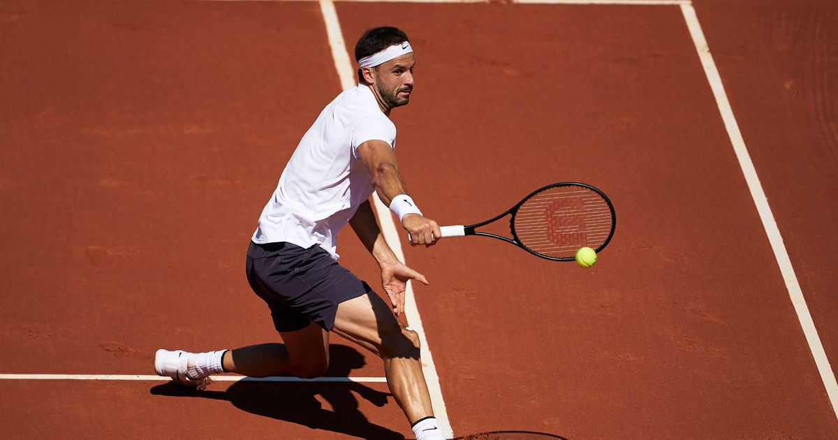Emilio Gomez vs Grigor Dimitrov Highlights