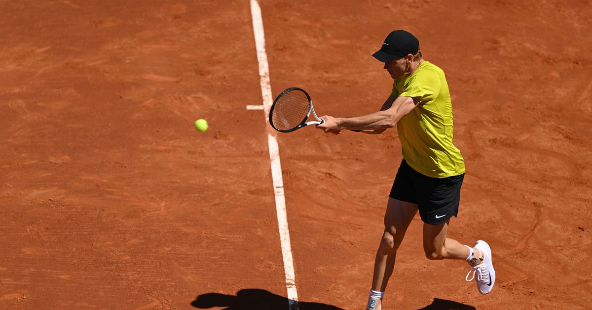 Diego Schwartzman vs Jannik Sinner Highlights