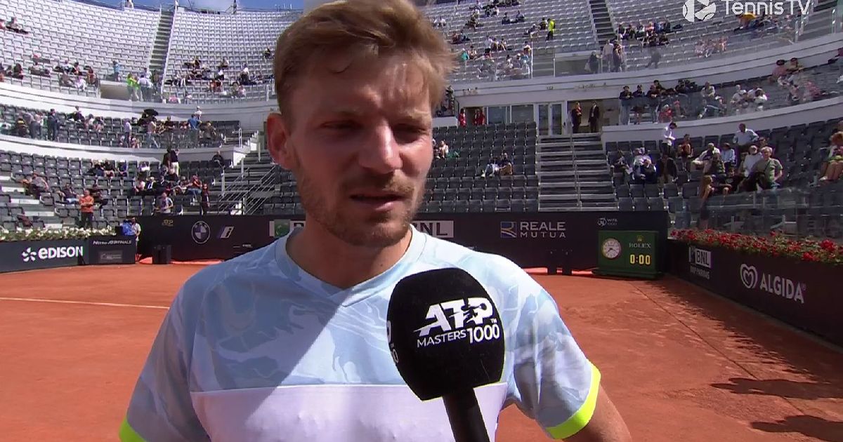 Goffin fights back against Nardi