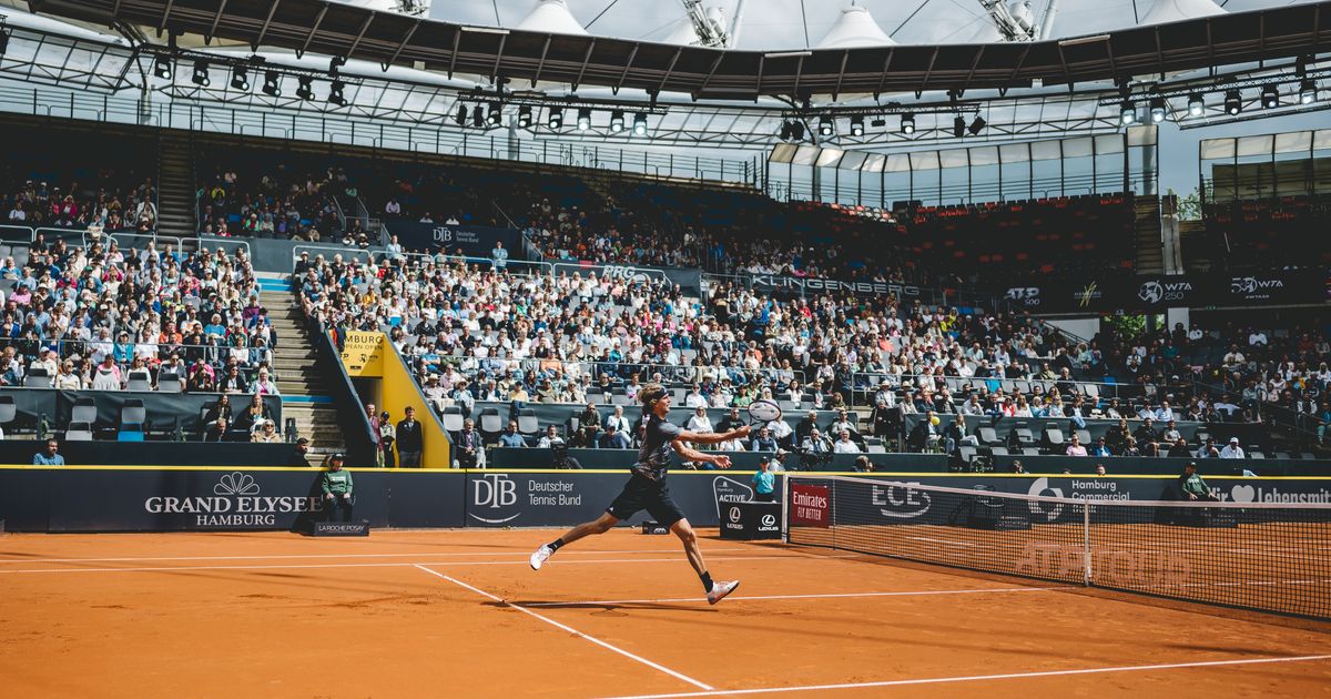 Alexander Zverev vs Alex Molcan - Short Highlights