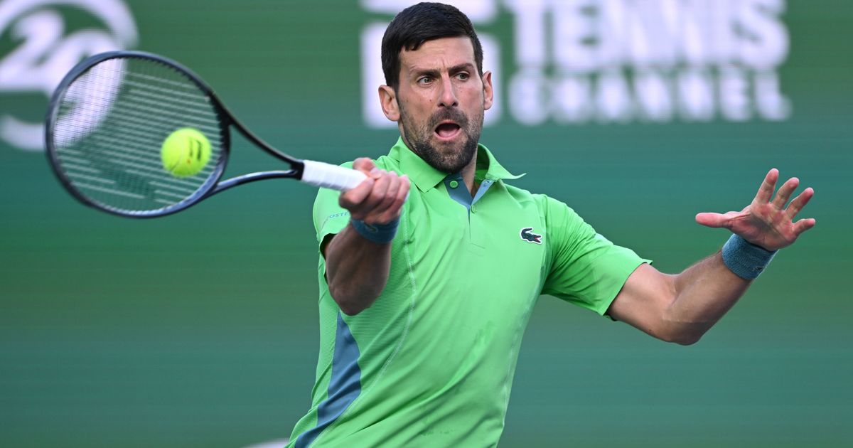 Novak Djokovic vs Luca Nardi - Extended Highlights