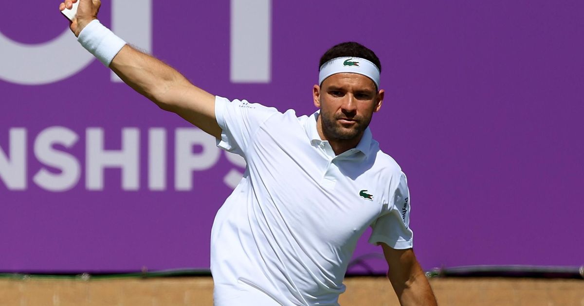 Grigor Dimitrov vs Adrian Mannarino - Short Highlights