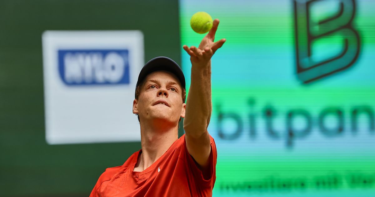 Jannik Sinner vs Tallon Griekspoor Highlights