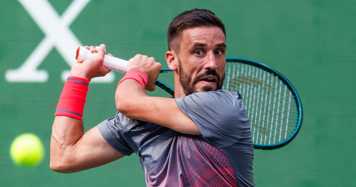 Mariano Navone vs Damir Dzumhur - Short Highlights