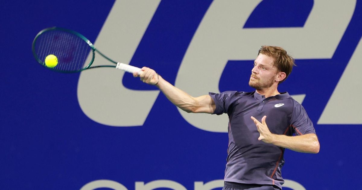 David Goffin vs Ben Shelton Highlights