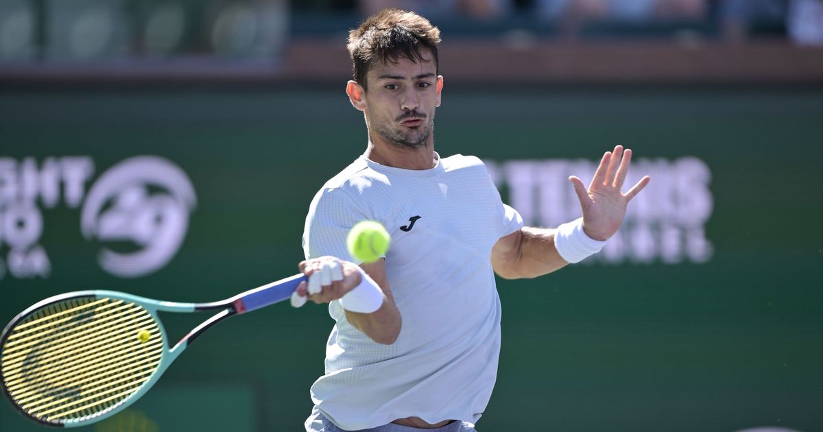 David Goffin vs Mariano Navone Highlights