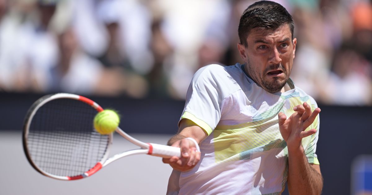 Leo Borg vs Sebastian Ofner Highlights