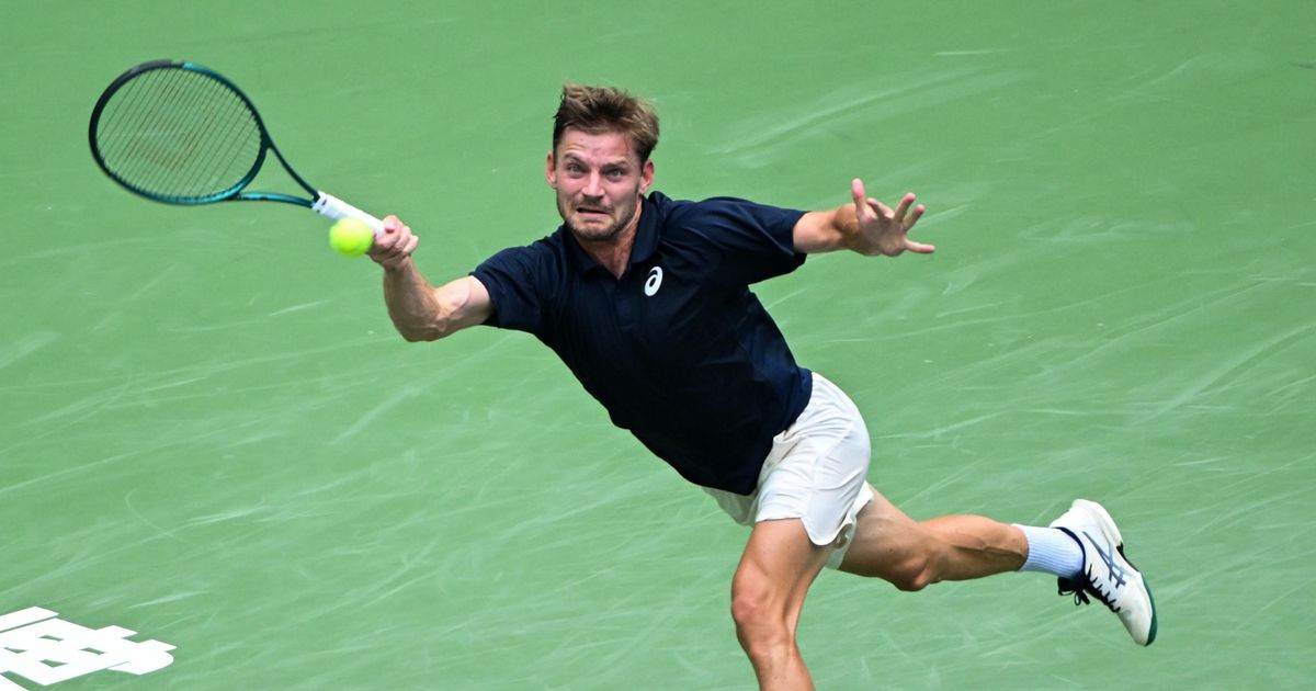 David Goffin vs Alexandre Muller